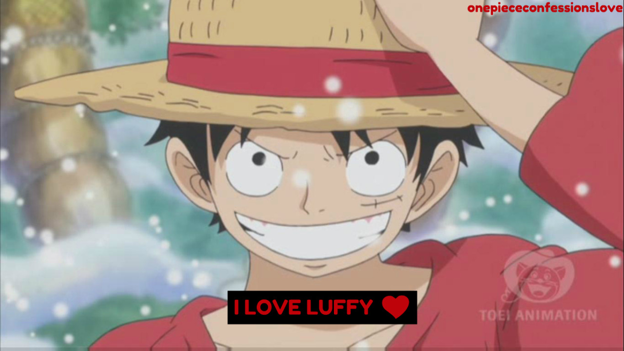 One Piece Confessions — I Love Luffy ♥