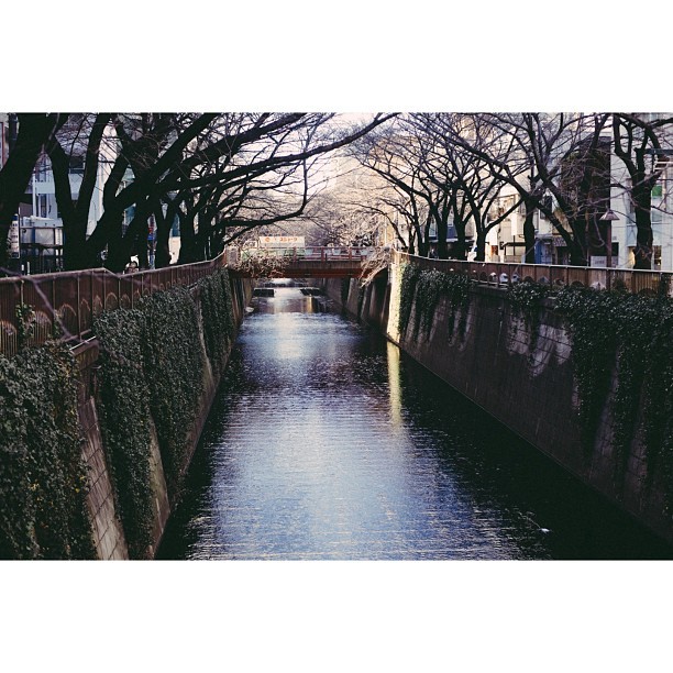 My Private Tokyo