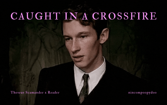 A Theseus Scamander X Reader Series Theseus And His Team Of Aurors Are Tasked With A Mission To