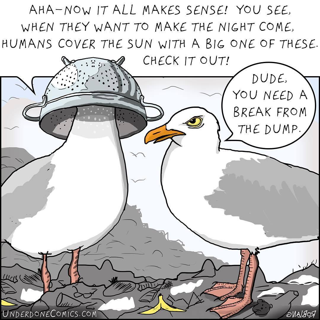 Underdone Comics — Seagull Astrophysics Seagulls