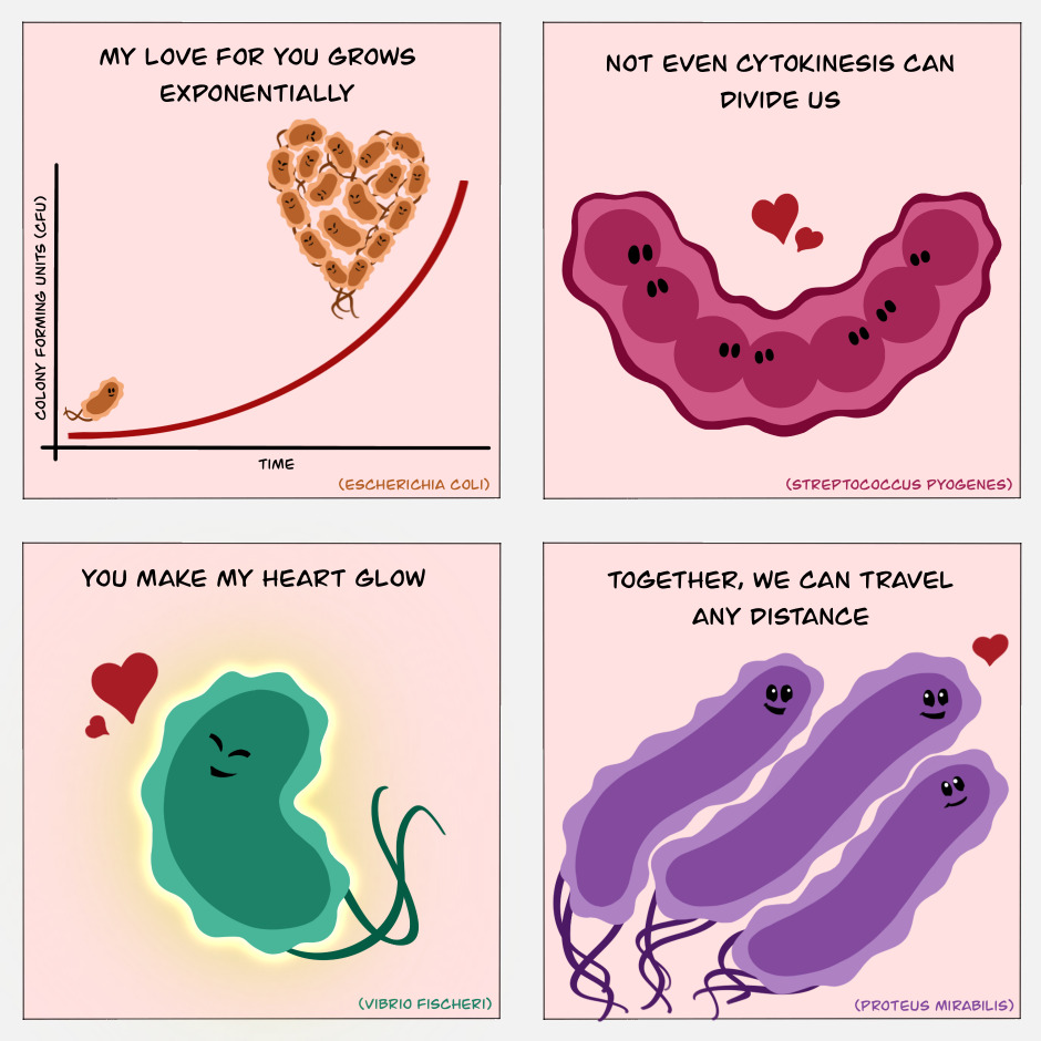 Happy Galentines/Valentines day! Here are some bacteria themed ...