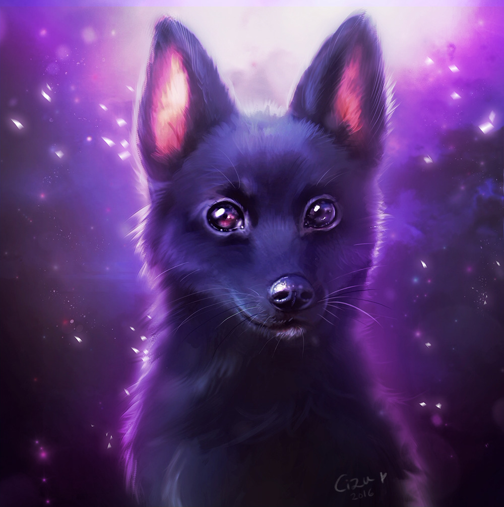 Anime Wolf Pup In Love