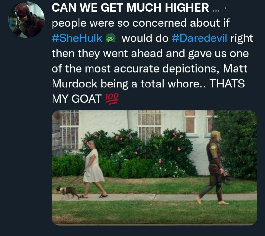 Know That They Will Be Loved Told Yall The Daredevil She Hulk Sex