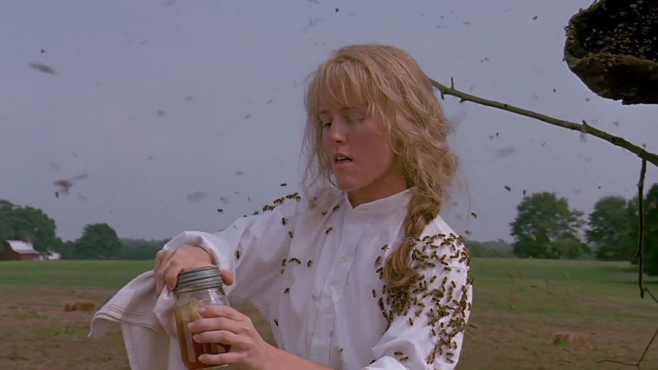 Fried Green Tomatoes At The Whistle Stop Cafe On Tumblr