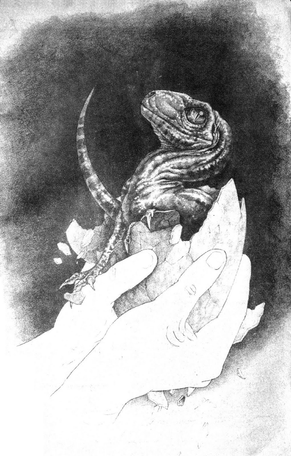Jurassic Park Raptor Concept Art