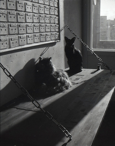 shallowdepth.tumblr.com - Tumbex