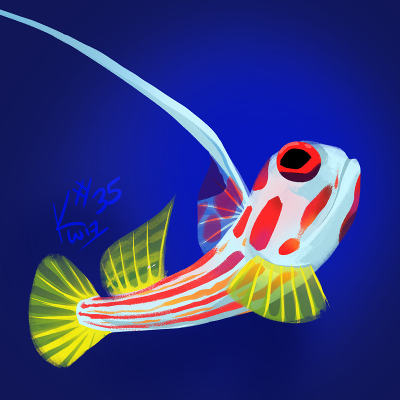 35 Of 100 Days Of Drawing The Yasha Goby So