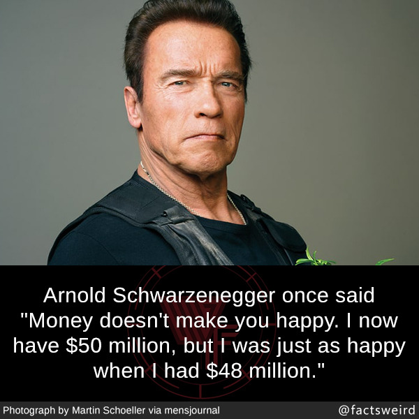 Weird Facts Arnold Schwarzenegger Once Said Money Doesnt