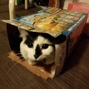 Jackie Checkers on Tumblr