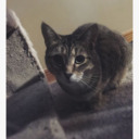 •Sean• on Tumblr