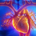 Advanced Human Physiology