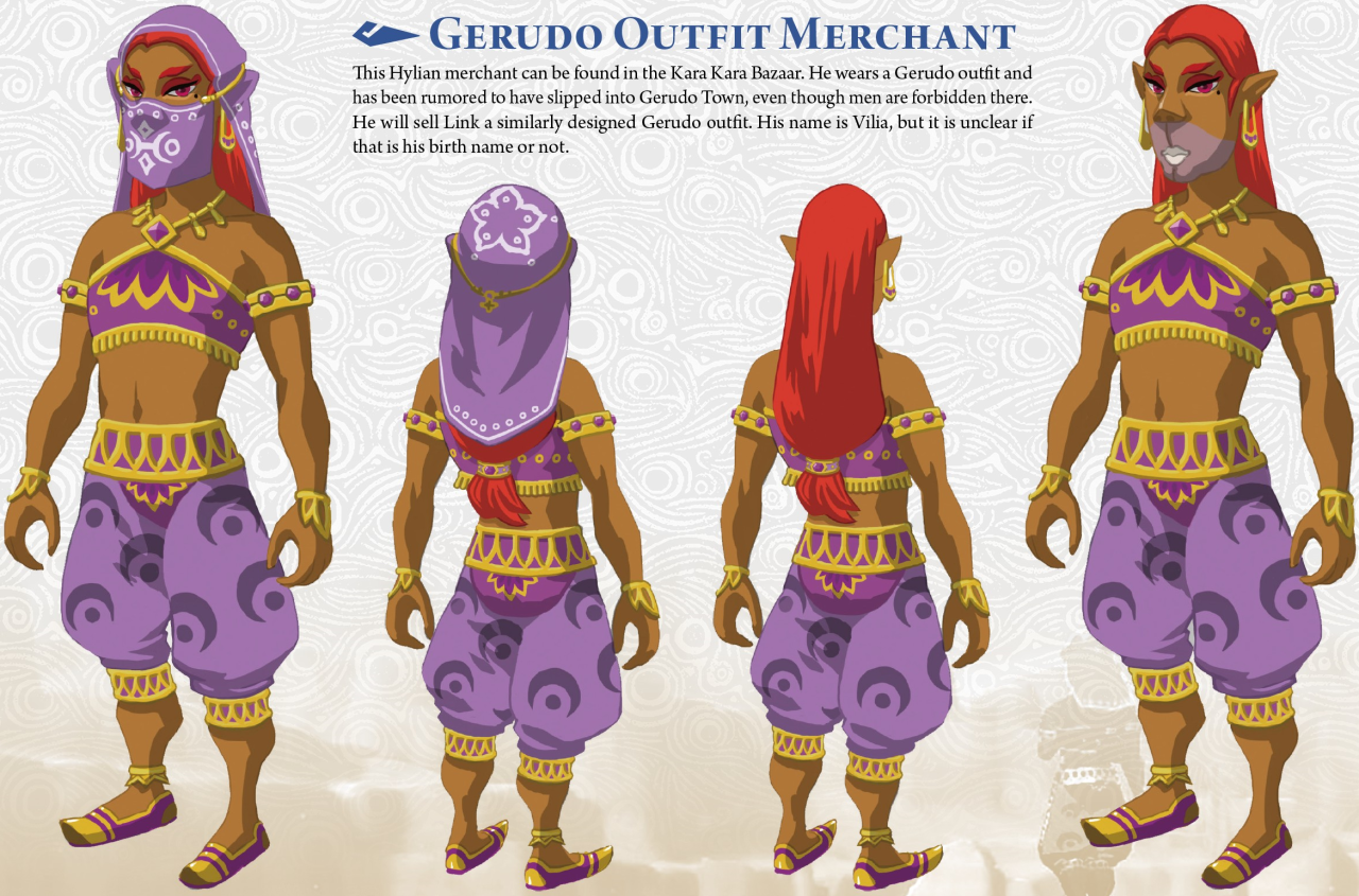 Anonymous Vehicle Verse — The ‘no Men In Gerudo Town Rule Unpacking The
