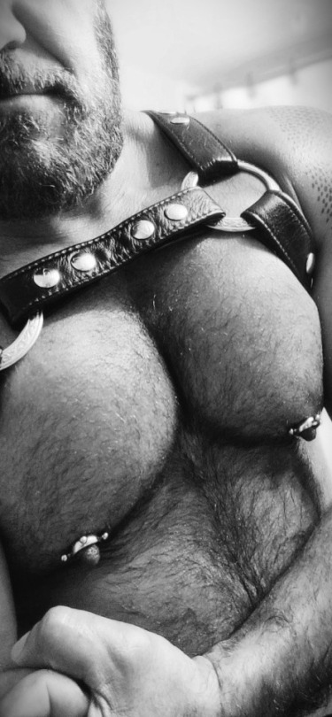 Tumbex