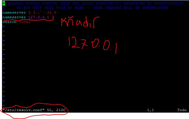El informático — Virtualmin is configured to setup DNS zones, but... El informático — Virtualmin is configured to setup DNS zones, but...