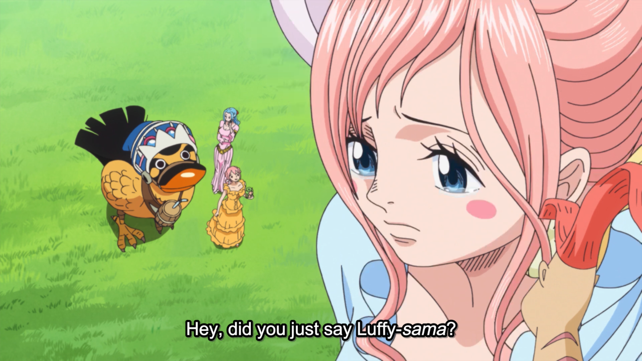 Currenty On Hiatus If Thats The Word Luffys Got A Whole Princess Harem
