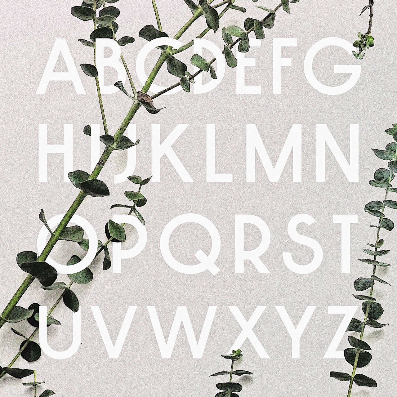 Girly Boy – visualgraphc: New Font ALphabet - Mark van... Girly Boy – visualgraphc: New Font ALphabet - Mark van...