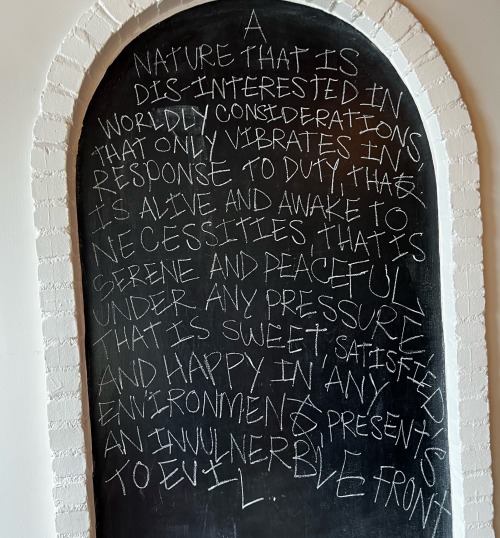 Healer In Chief — Words By Dr Thurman Fleet From The Rays Of The