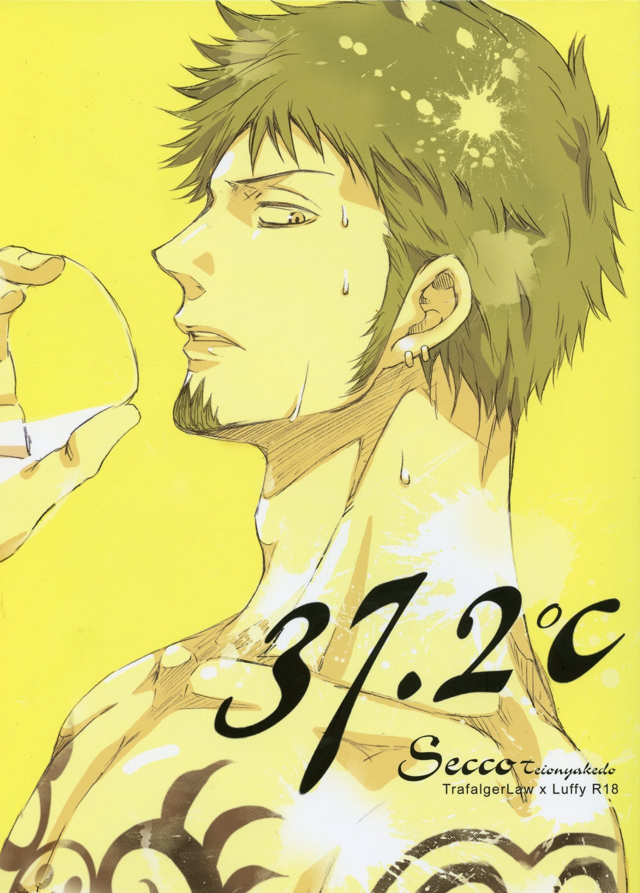Law X Luffy Doujinshi