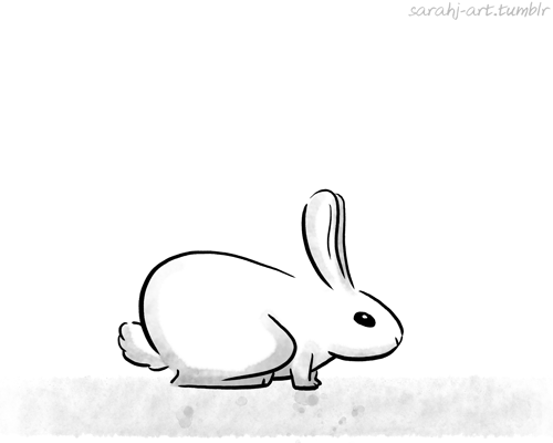 Animated Bunny Tumblr