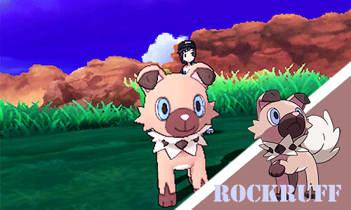 Welcome — Introducing Rockruff Rock Komala Normal Bewear
