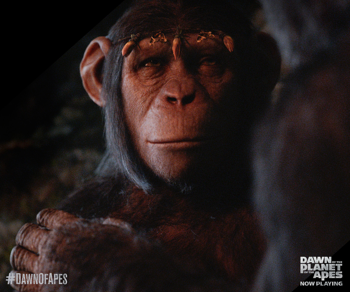 Planet Of The Apes Official Tumblr