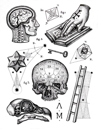 Protoscientific Flash Sheet Instagram Website Tumbex