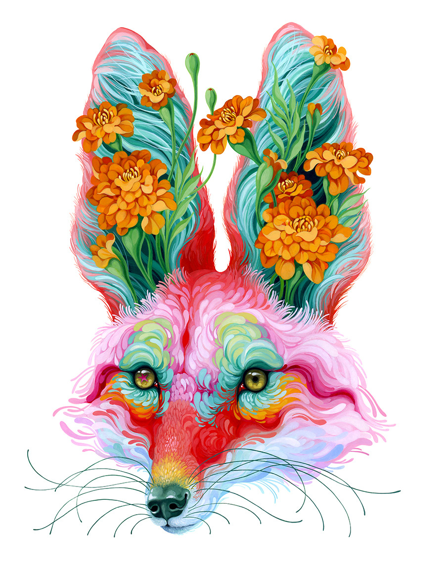Cute Fox Drawing Tumblr
