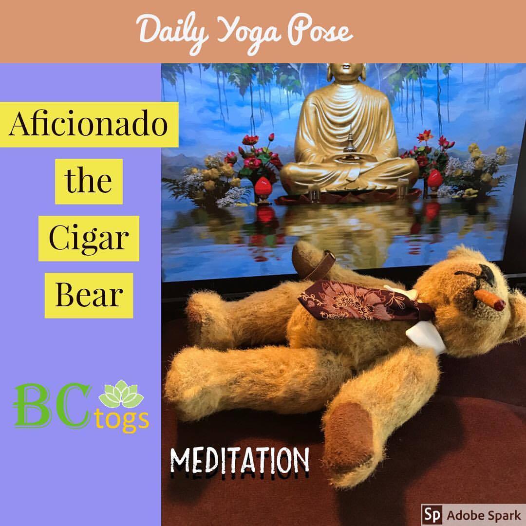 Handmade — Aficionado The Cigar Bear 15