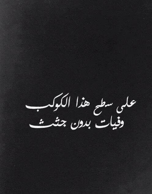 Tumblr Gallery Pics 3946854