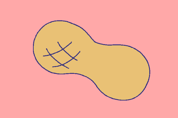 попка акула On Tumblr