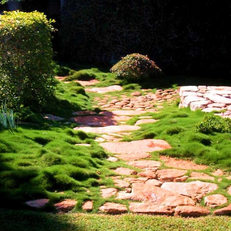Landscape Focused Landscape Garden Design Ideas