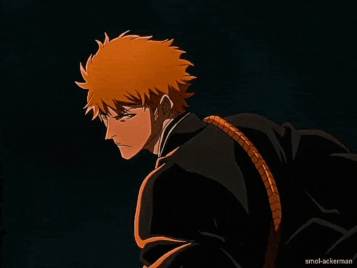 Ichigo Animated