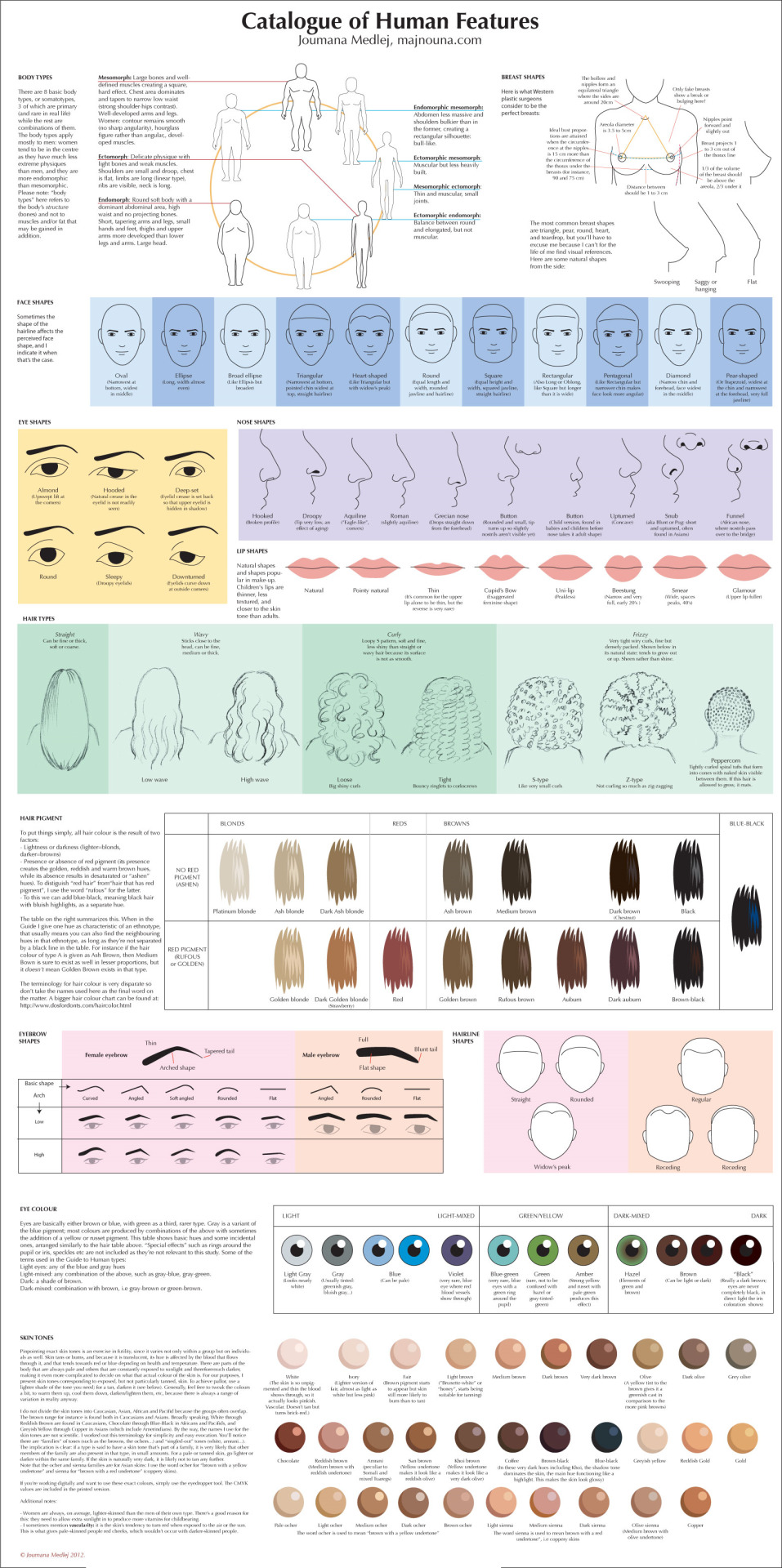Fuck Ton Of Anatomy References Reborn • A Delicious Fuck Ton Of Human Ethnicitydiversity