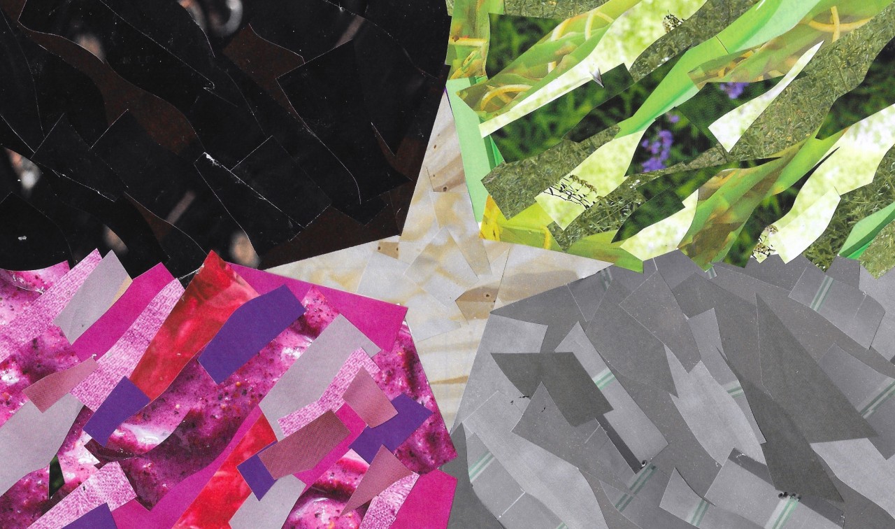 The Collages of a (new) Lawyer — This is the aspec pride flag for ... The Collages of a (new) Lawyer — This is the aspec pride flag for ...