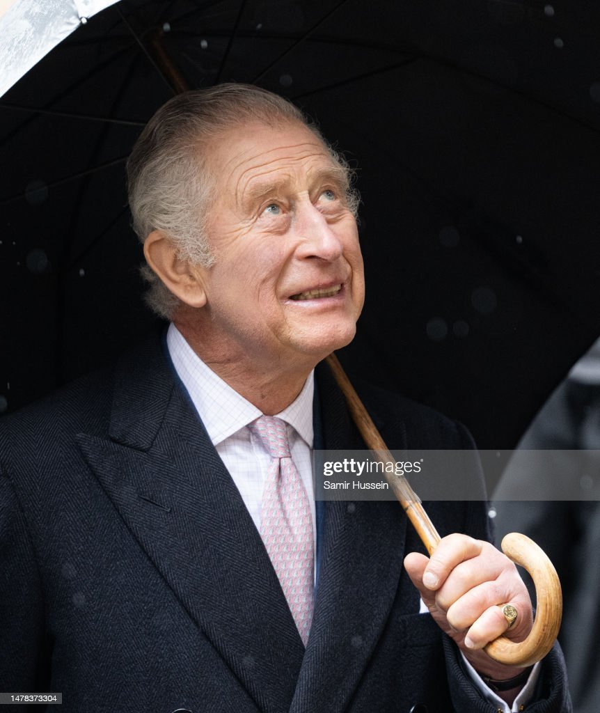 Mature Men of TV and Films - Charles III King of the United Kingdom Mature Men of TV and Films - Charles III King of the United Kingdom