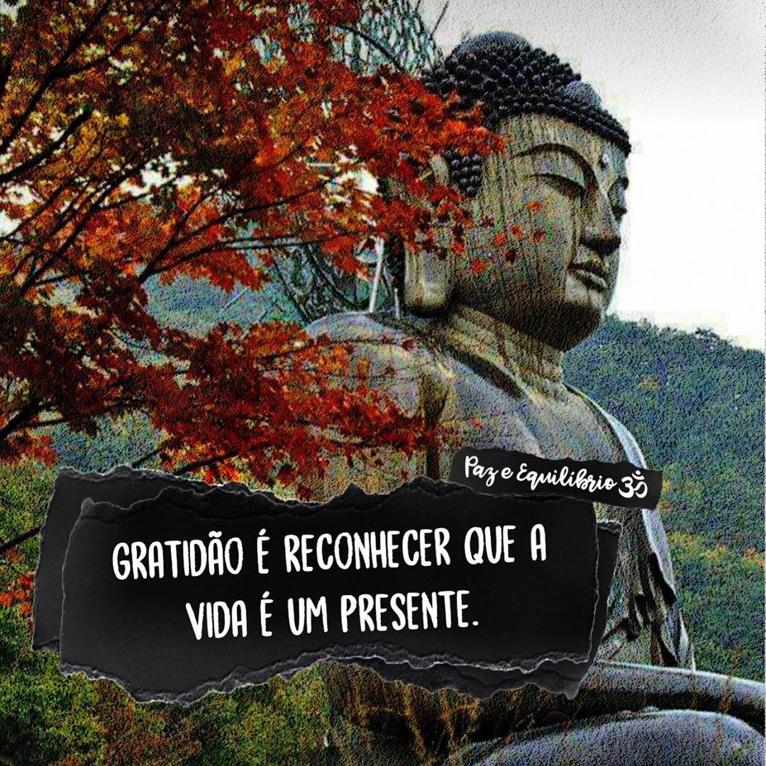 PazeequilÍbrio ॐ — Frases Para Te Inspirar A Agradecer Por Cada