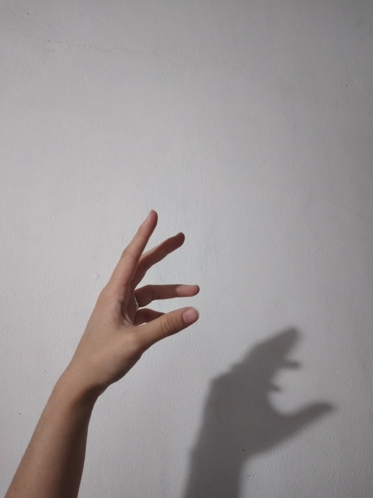 Screamd0ll On Tumblr