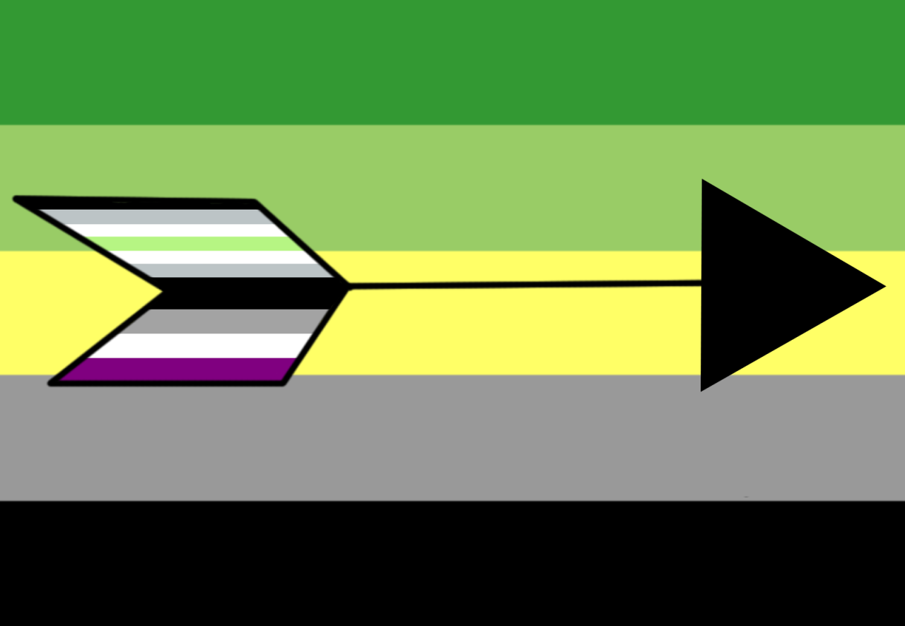 Meet The Aromantic Aromantic Agender Asexual Version 2