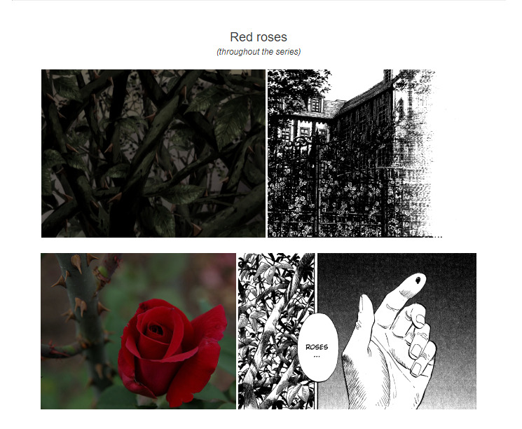 Plants Database. Part 3. – @erichspringer on Tumblr Plants Database. Part 3. – @erichspringer on Tumblr