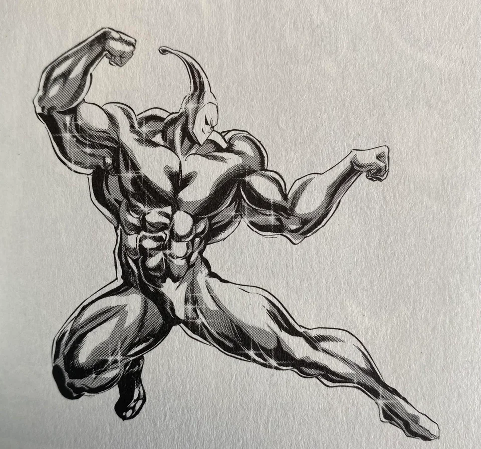 Magpie's Nest : OPM Volume 30 manga inner covers and illustrations