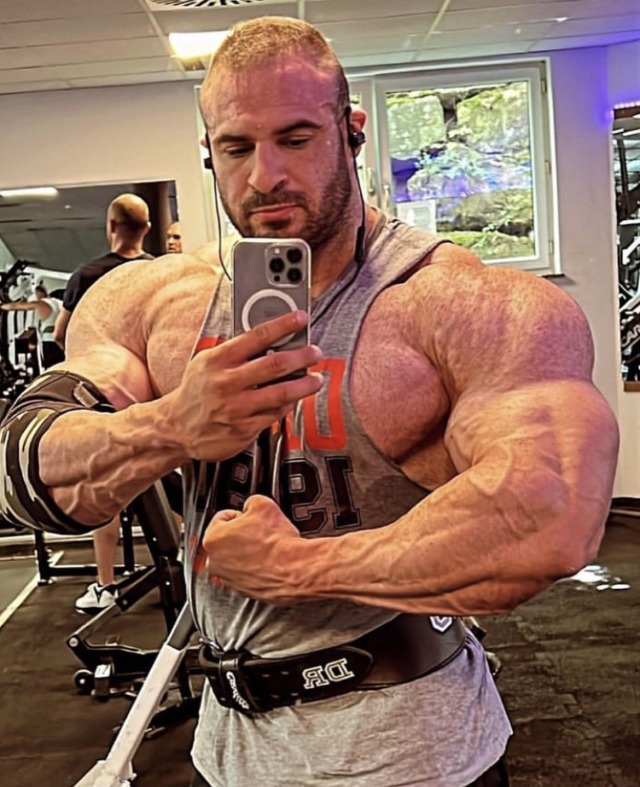 Gym Musky Bodybuilder On Tumblr