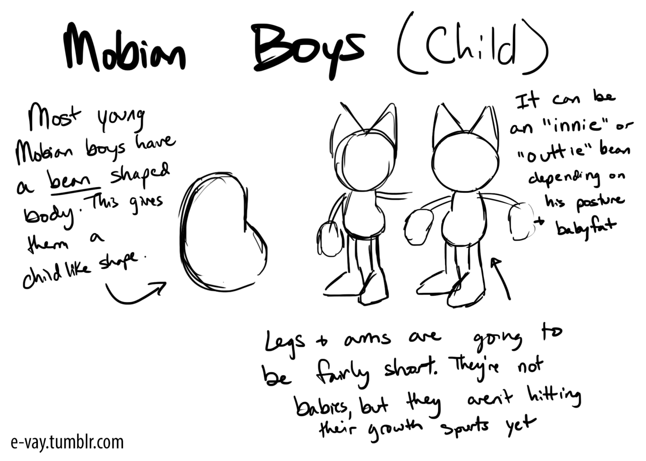 Evay Art - Stream of Consciousness : This is how I draw Mobian anatomy ... Evay Art - Stream of Consciousness : This is how I draw Mobian anatomy ...