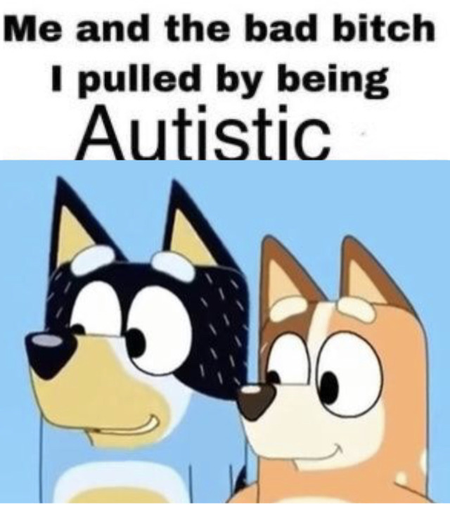 Bandit And Chilli On Tumblr
