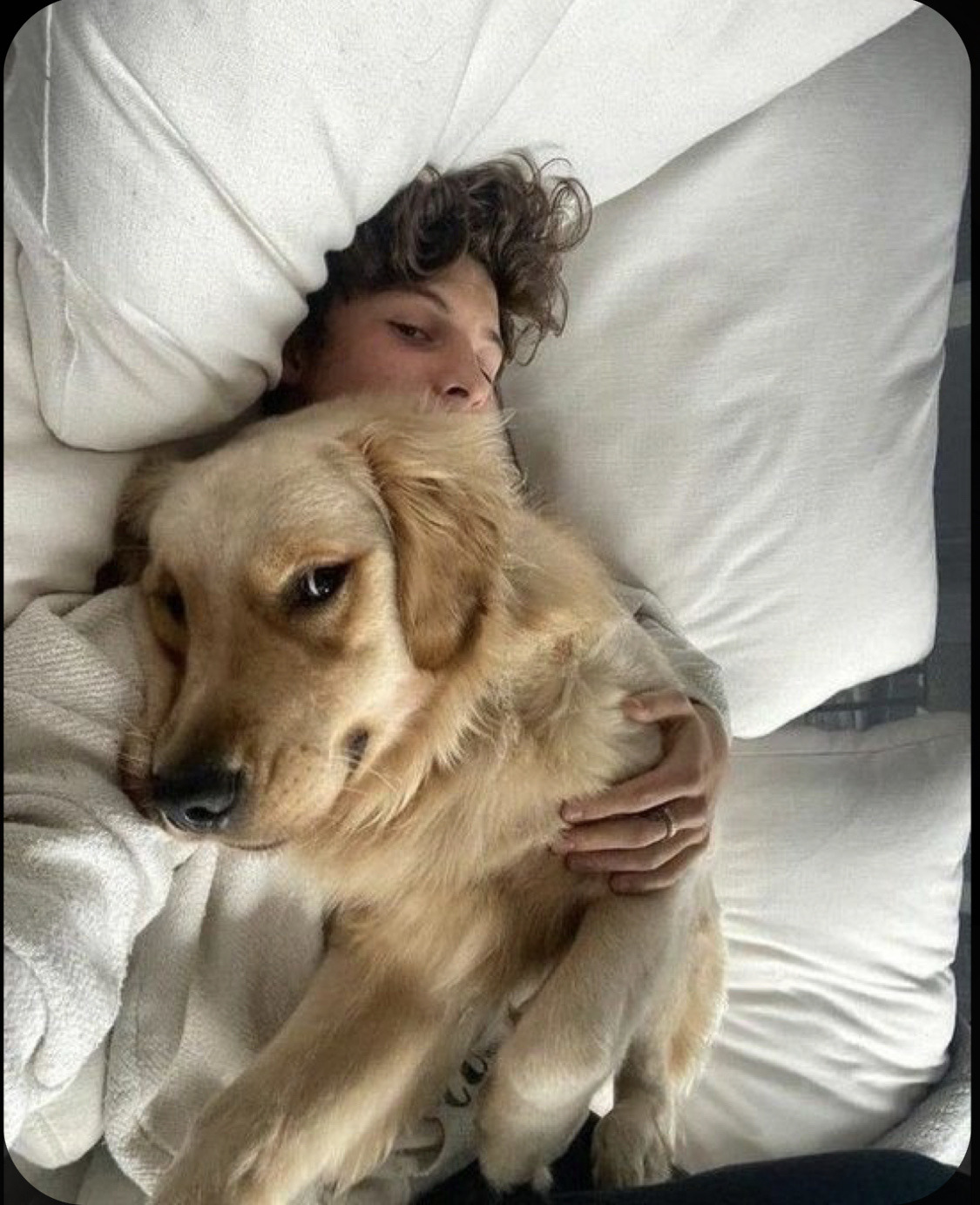 Shawn Mendes Wife On Tumblr