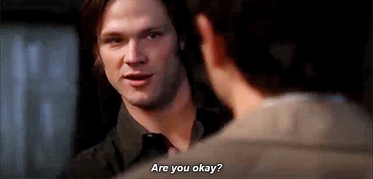Library Girl on Tumblr: actual footage of the interaction between my ... Library Girl on Tumblr: actual footage of the interaction between my ...