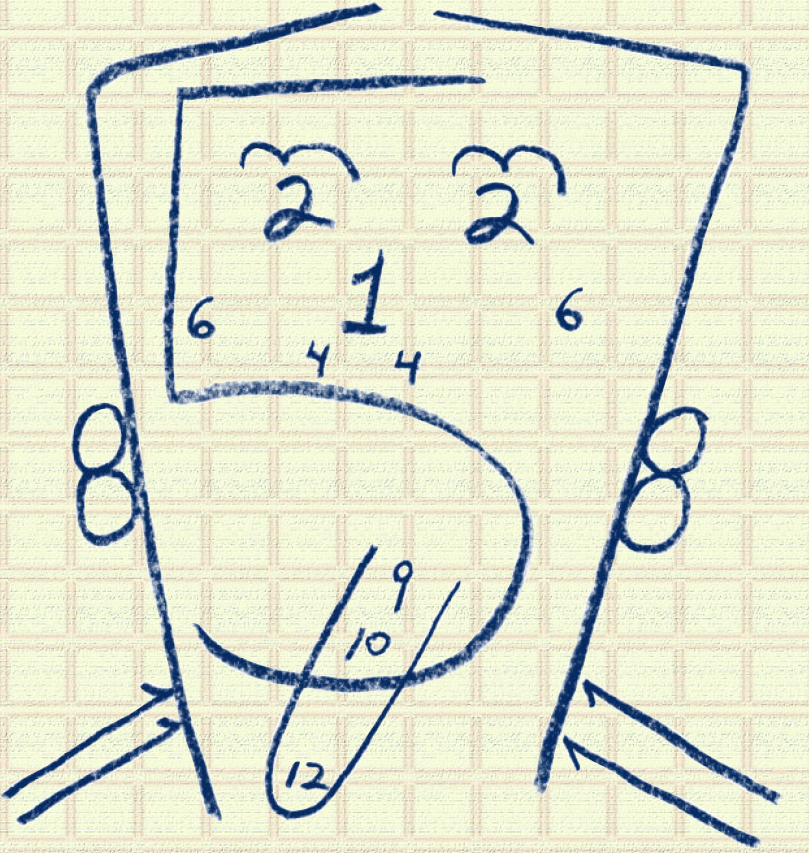 Cranial Nerves Face Mnemonic
