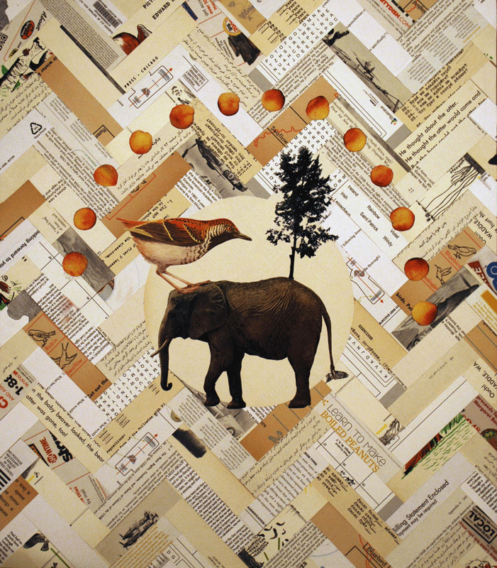 Animated Collage