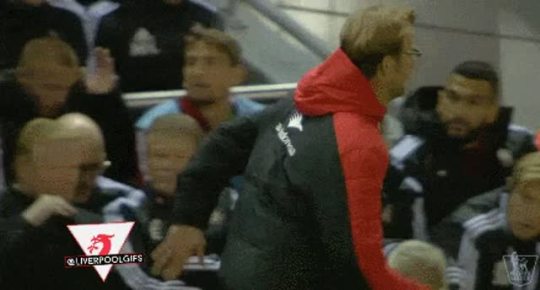 The Celebration Weve All Been Waiting For Tumbex